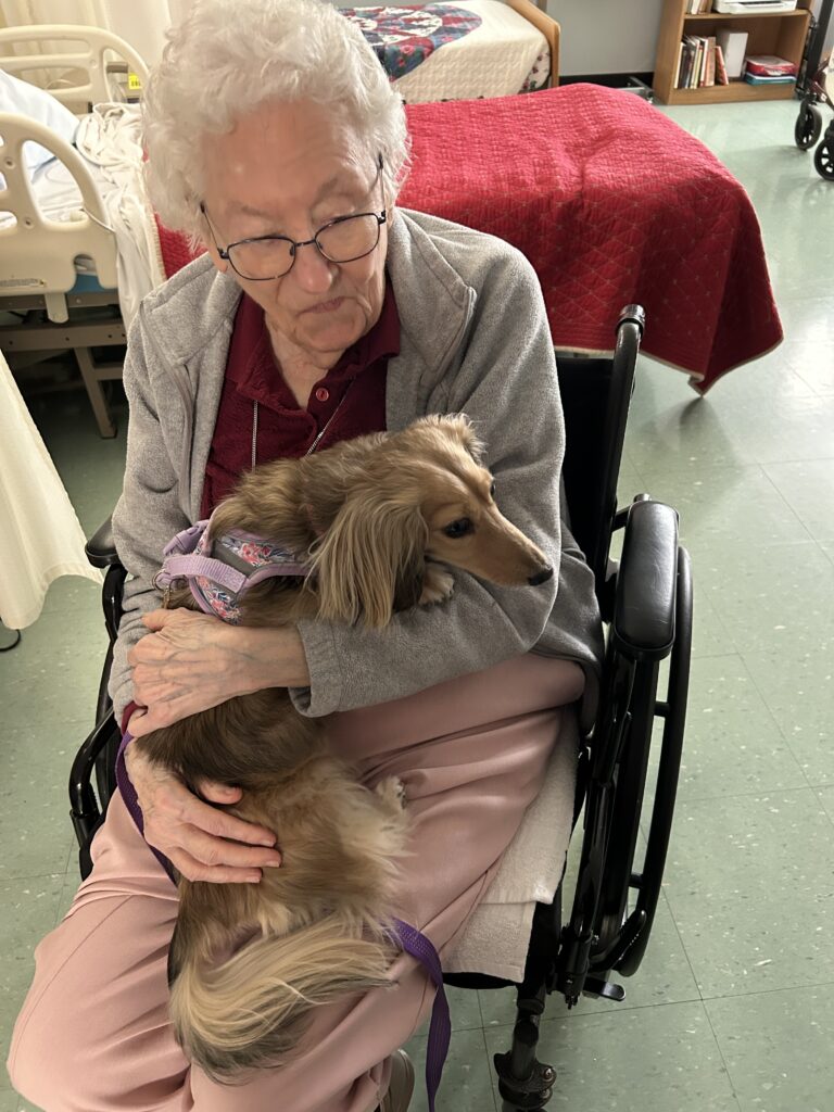 No Ordinary Lap Dog - Adorers of the Blood of Christ